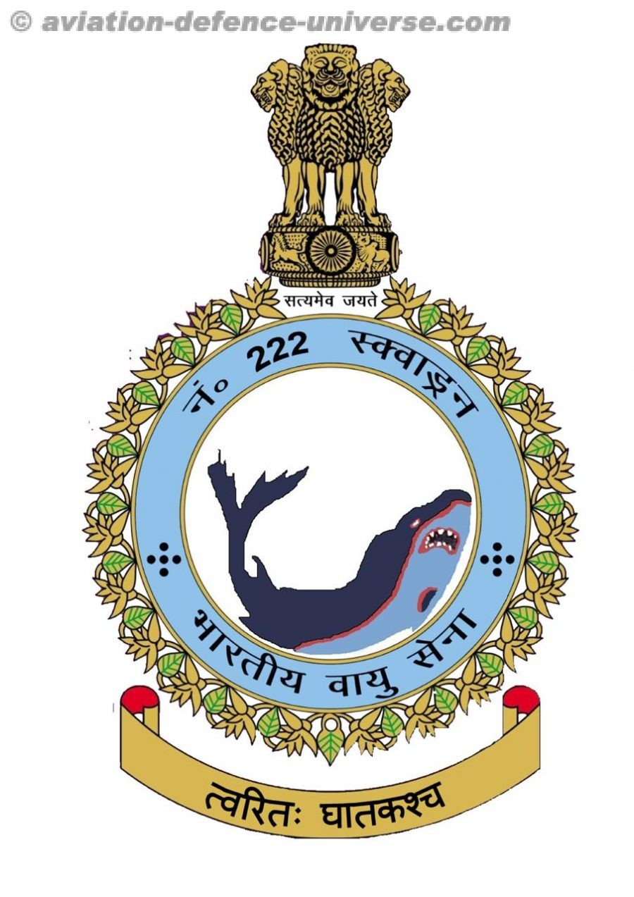 Lets get to know Sqn 222 of Indian Air Force | ADU Media